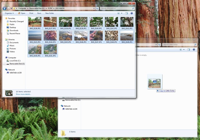 Managing and Sharing with Windows Live Photo Gallery