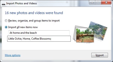 Managing and Sharing with Windows Live Photo Gallery